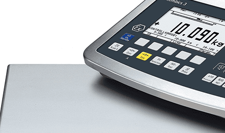 Services - The Scale People, Inc.